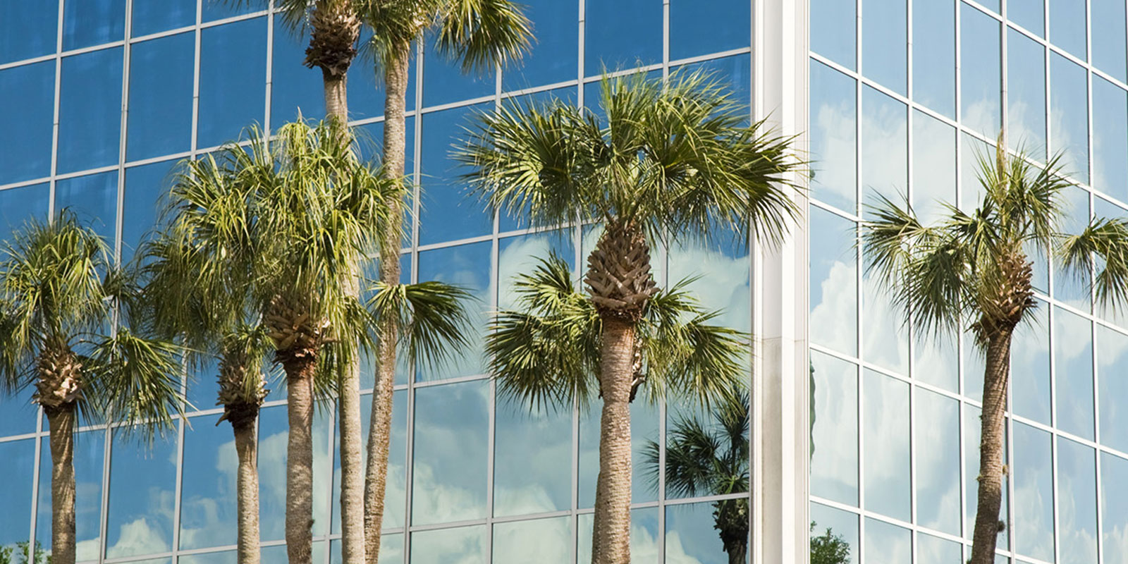 Commercial Real Estate in Lake Mary, Heathrow FL & Seminole County, Florida